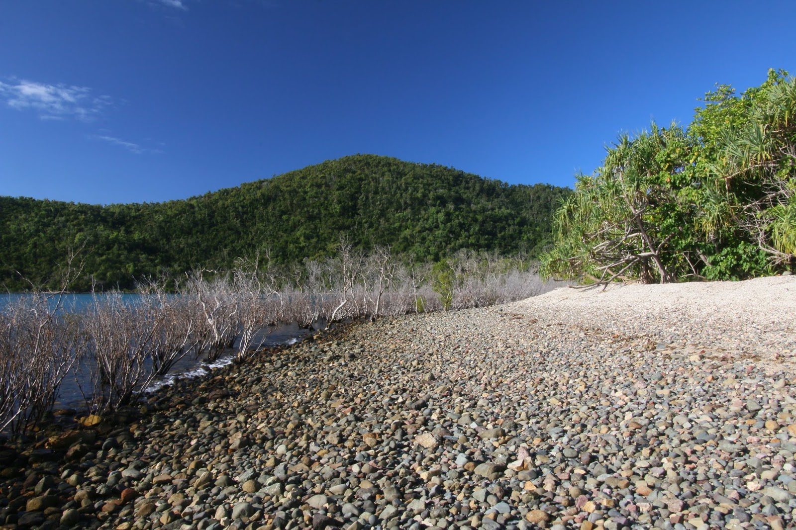 OurTripDreaming: Swamp Bay and Mt Rooper, Conway National Park