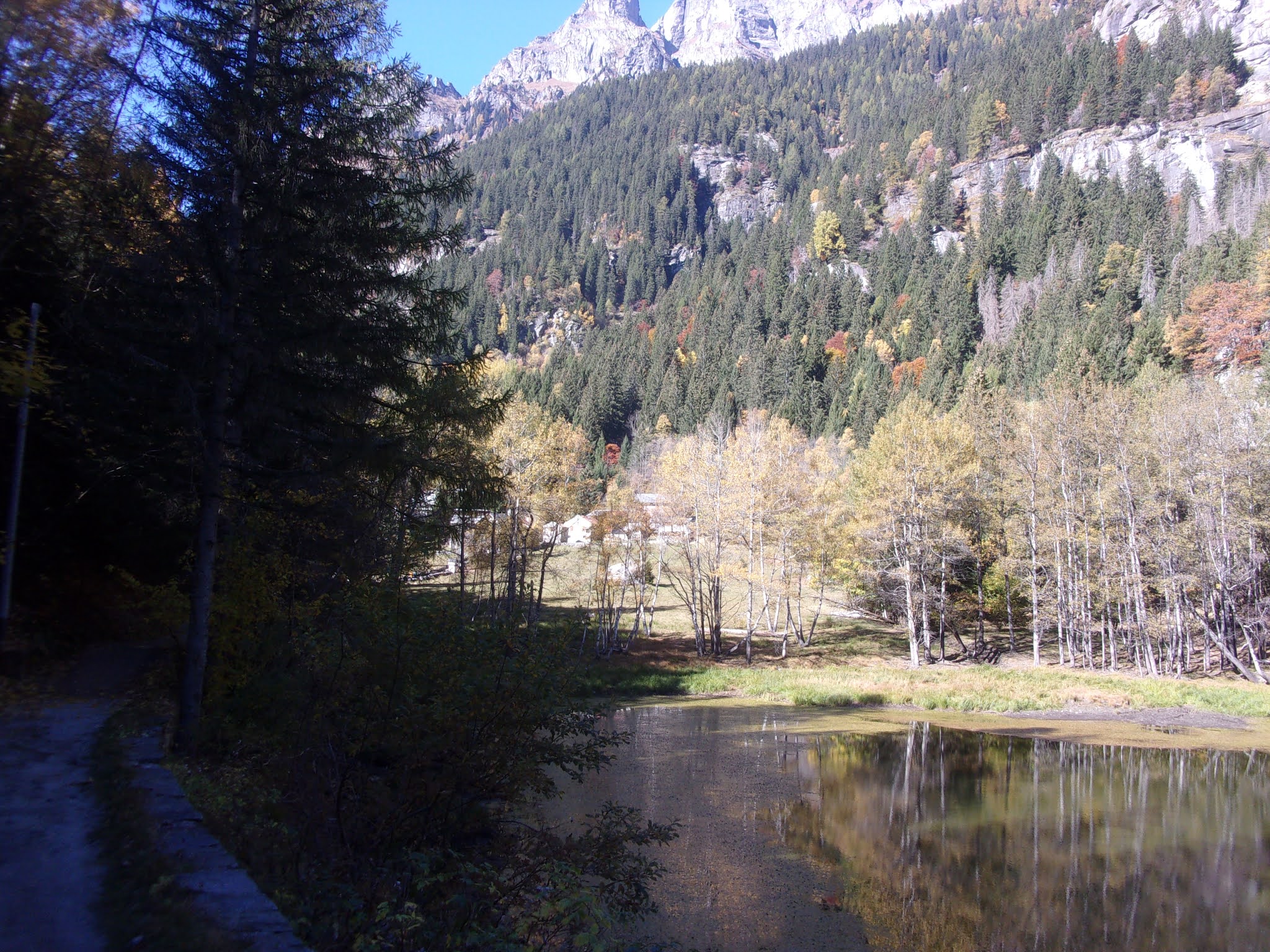la baita della nonna: Antillone e le sue ninfee