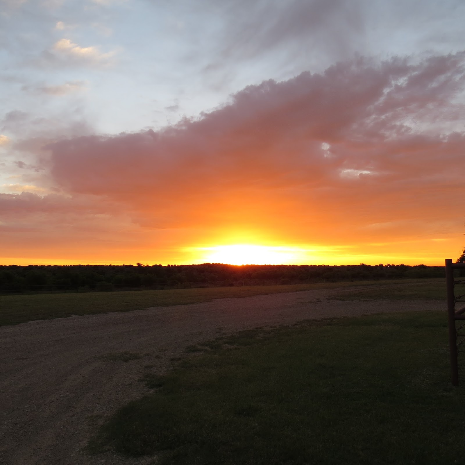 Navasota Ranch: Triangle Ranch, Cottle County Texas