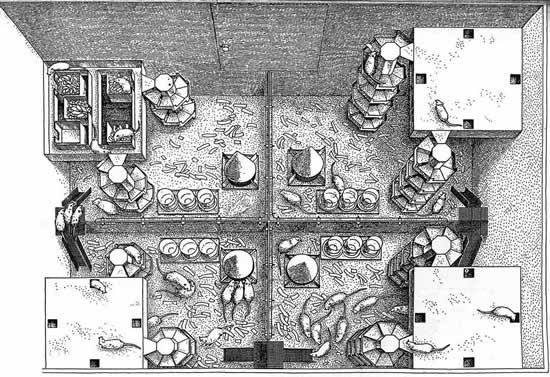 Mouse utopia experiment report - Wasski