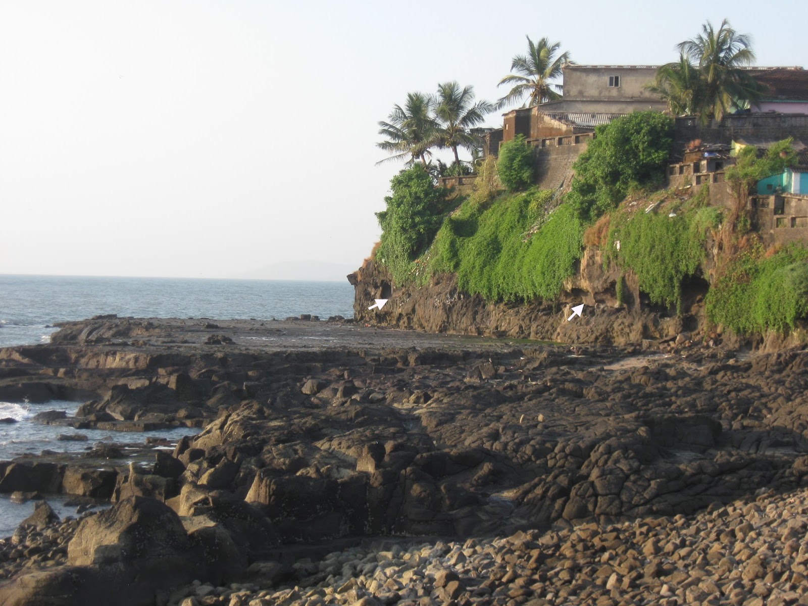 Rapid Uplift: Field Photo: Sea Cliffs And Holocene Sea Level Highstand ...