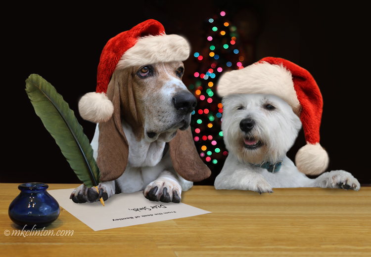 Dog Writing A Letter