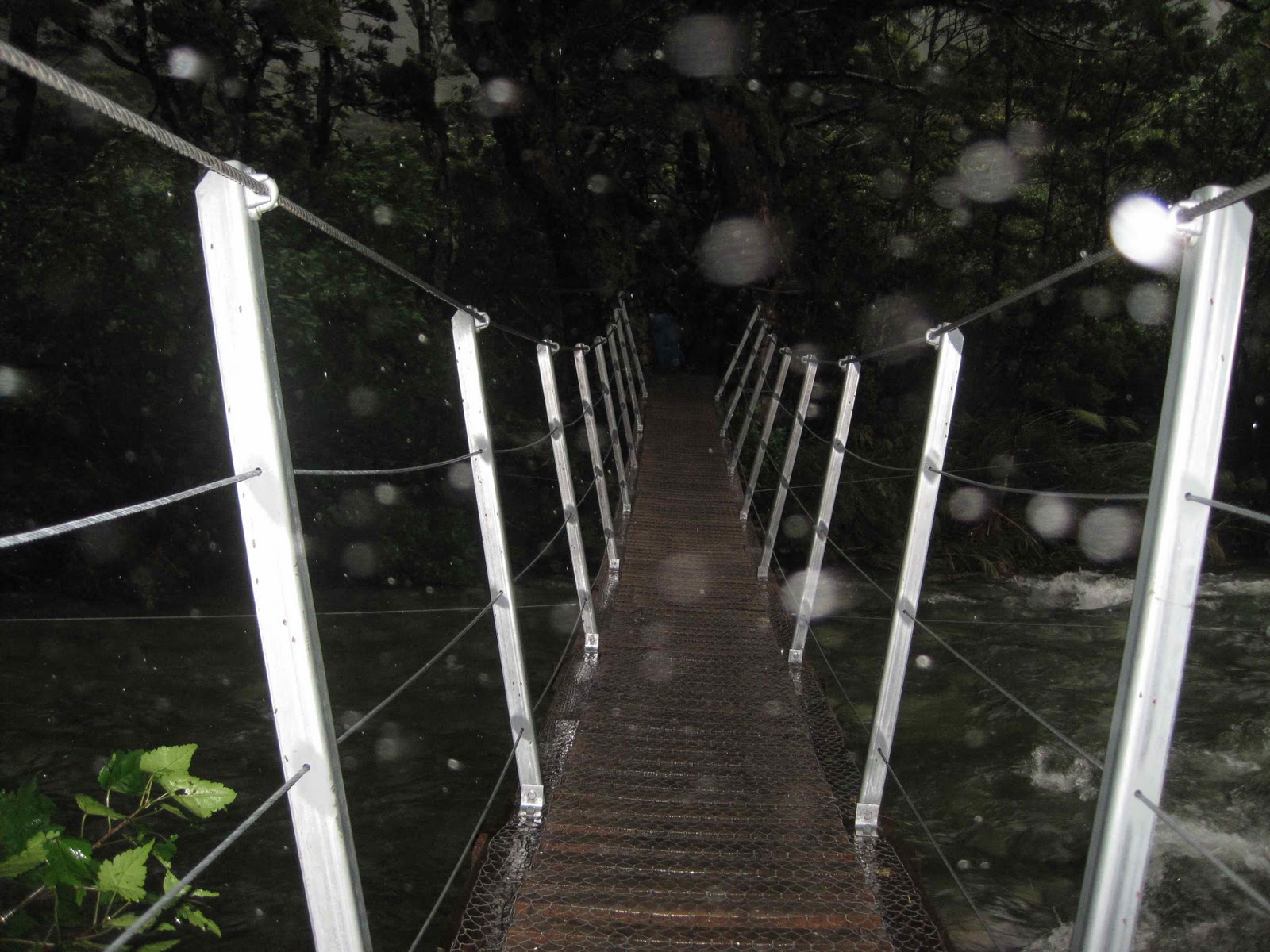 Carolyn in Aotearoa: Milford Track, Day Three: Mintaro Hut to Dumpling ...