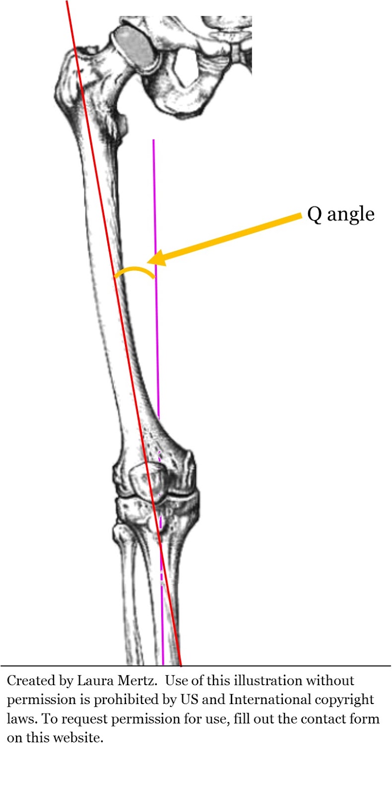 Performing Arts Medicine: Causes of Patellofemoral Pain Syndrome