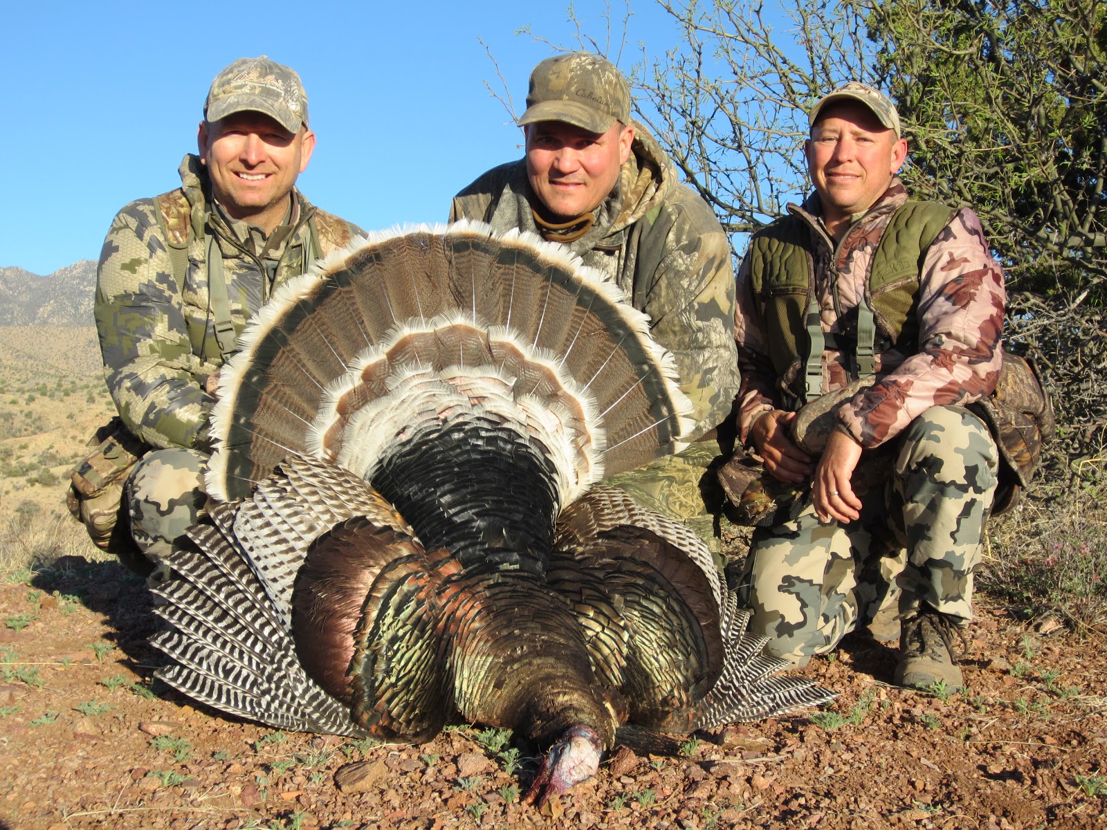 Colburn and Scott Outfitters: Goulds Turkey Hunts