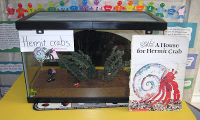 My Catch A Star Classroom!: Hermit Crabs
