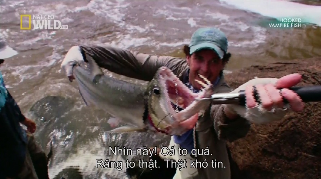 HOOKED - VAMPIRE FISH ~ Store Free Download Movies