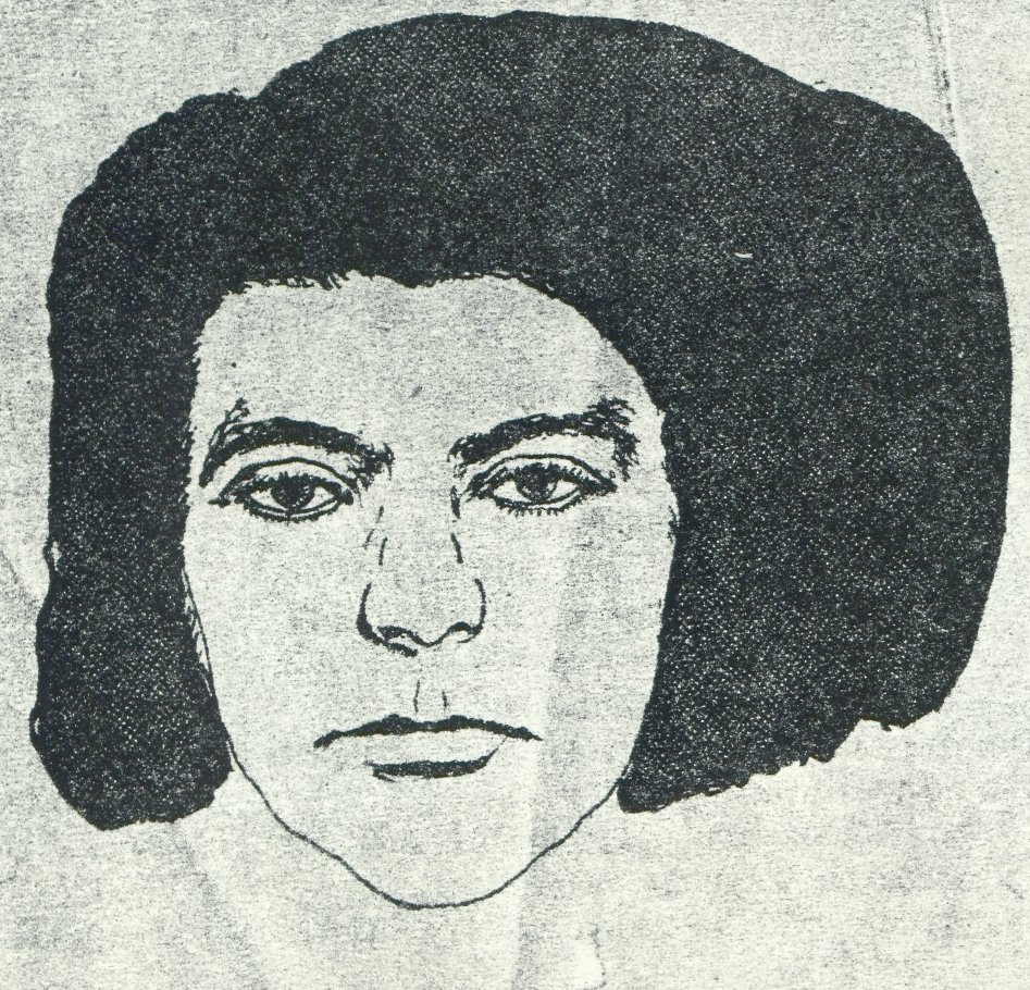 Someone Saw Something: The Terry Cornell Murder Case - 40 Years Cold