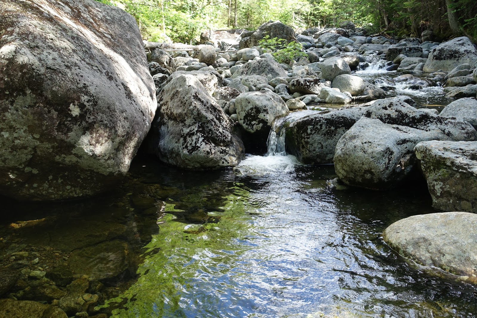 Of Rock & Riffle: Northeast American Genryu #3 - NYC Tenkara Anglers in ...