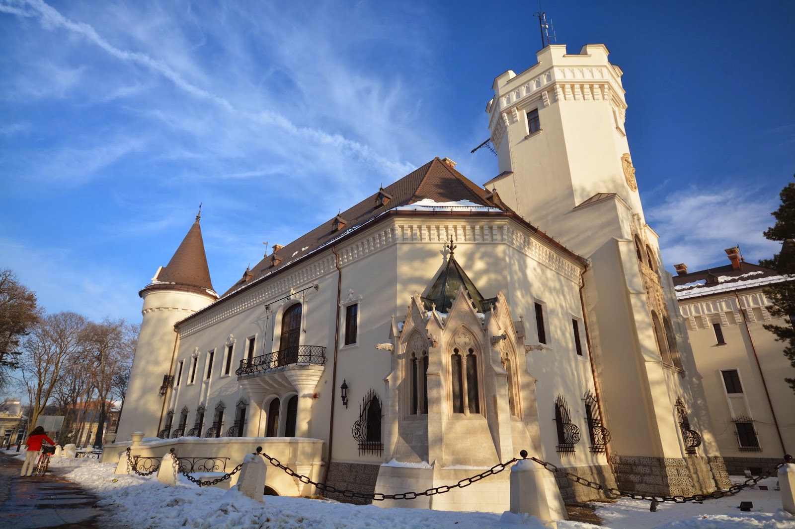 TUDOR PHOTO BLOG: Castelul Karolyi din Carei Iarna,Karolyi Castle Carei ...