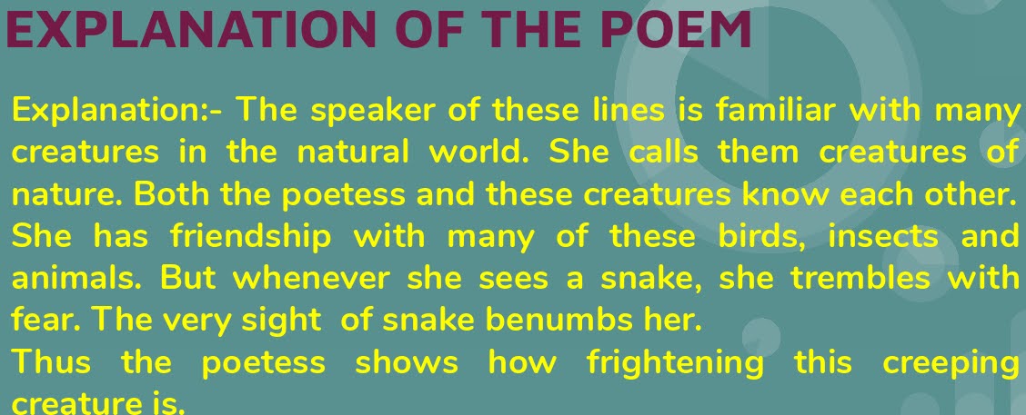 THE SNAKE - Plus One