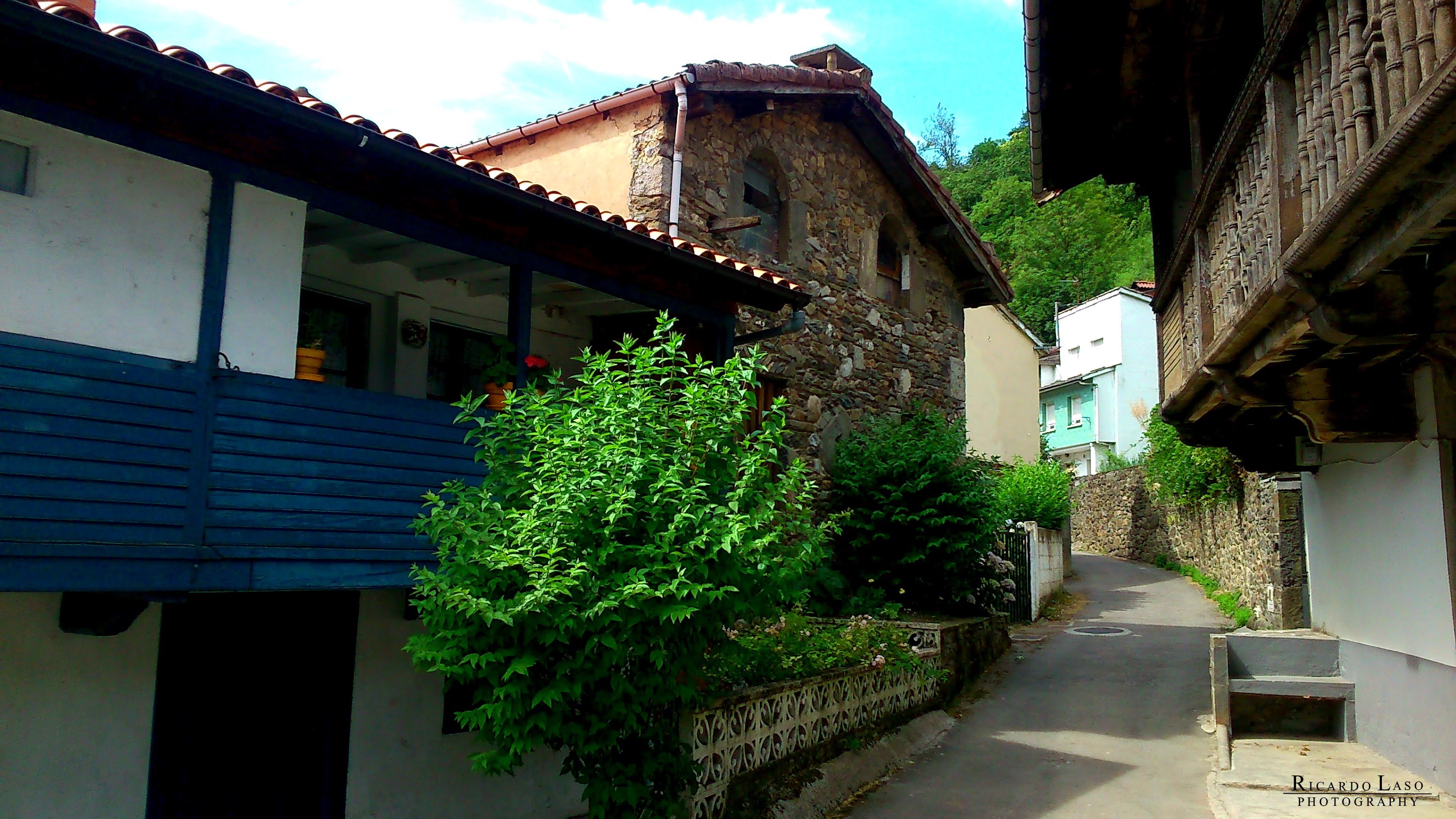 ASTURIAS: ALLER / CASOMERA