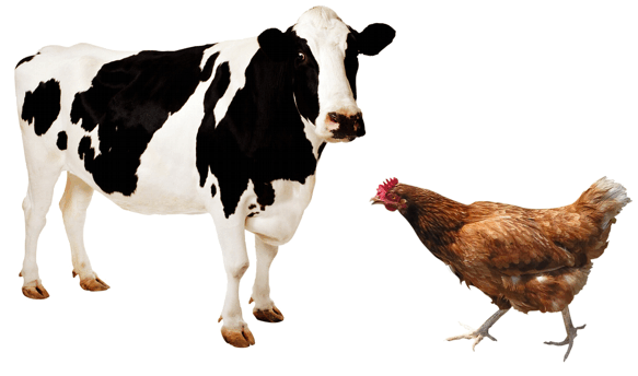 6 Reasons Why Both Sides of the "Chick-fil-A Debate" Are Wrong