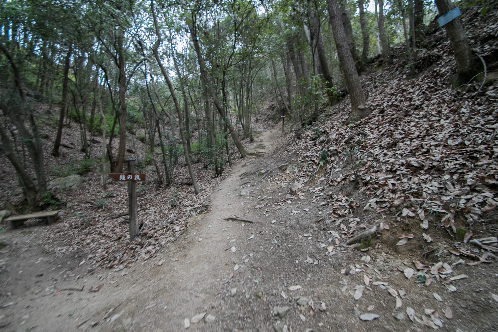 Niitakayama Castle -Intellectual pillar of Mouri clan (2)- | Japan ...