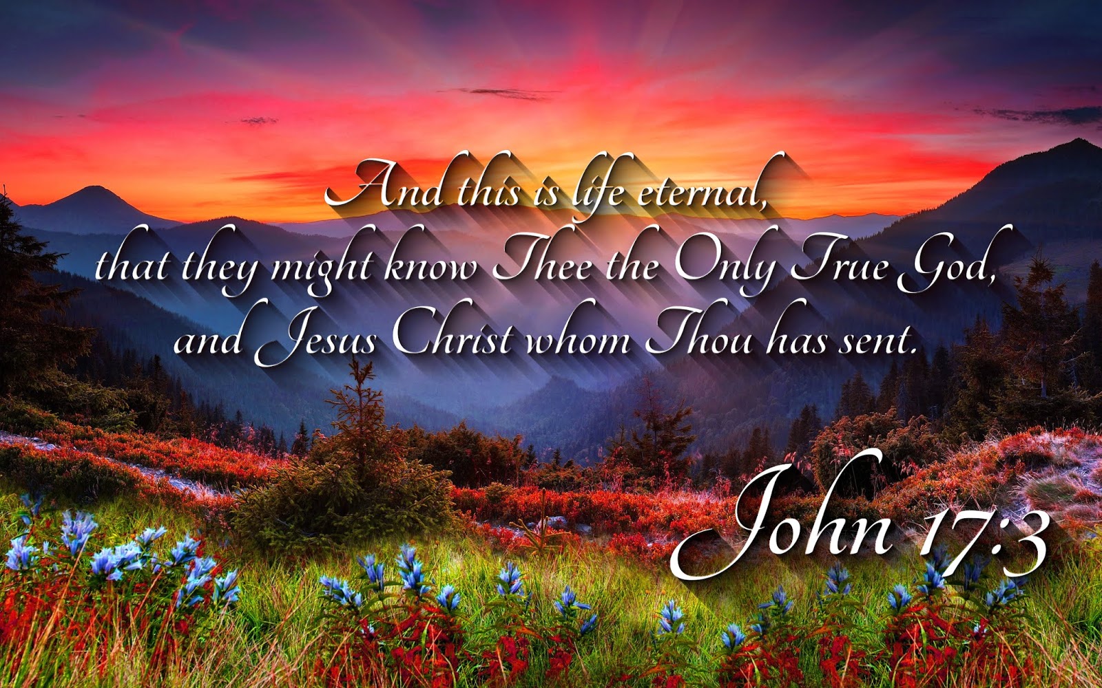 Whitestone Christian Fellowship: THE ONE TRUE GOD