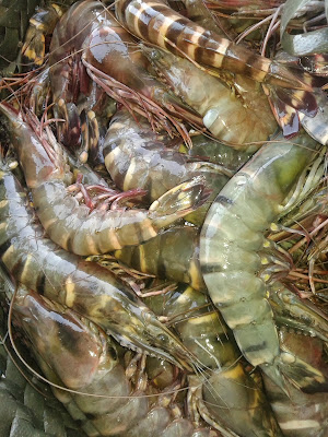 Sea Foods: Jhinga Tiger Fish Jhinga Tiger Fish