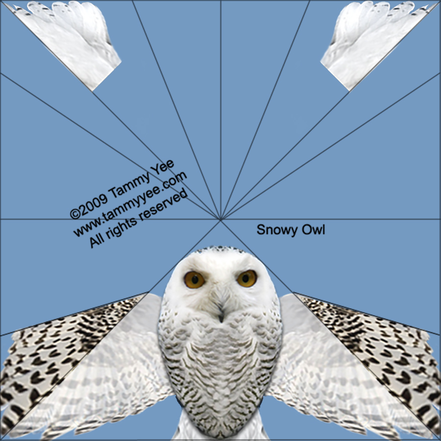 Origami n' Stuff 4 Kids: Owl Origami Video Tutorial and Print-and-Fold ...