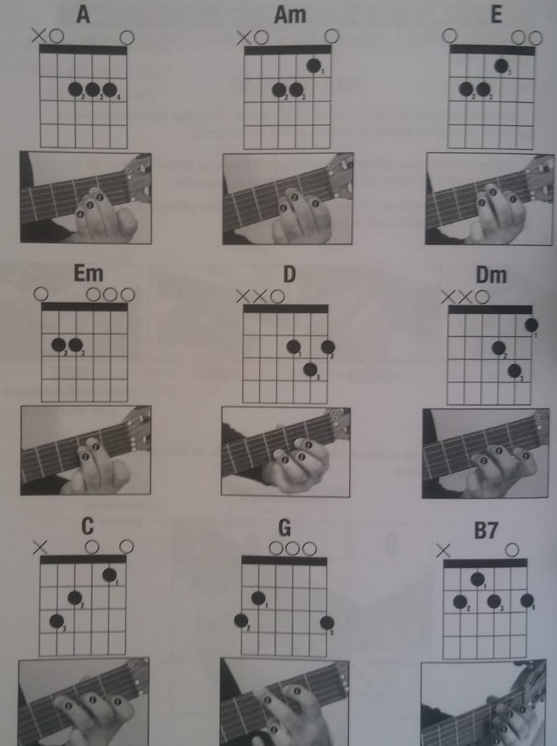 EN ÇOK KULLANILAN AKORLAR