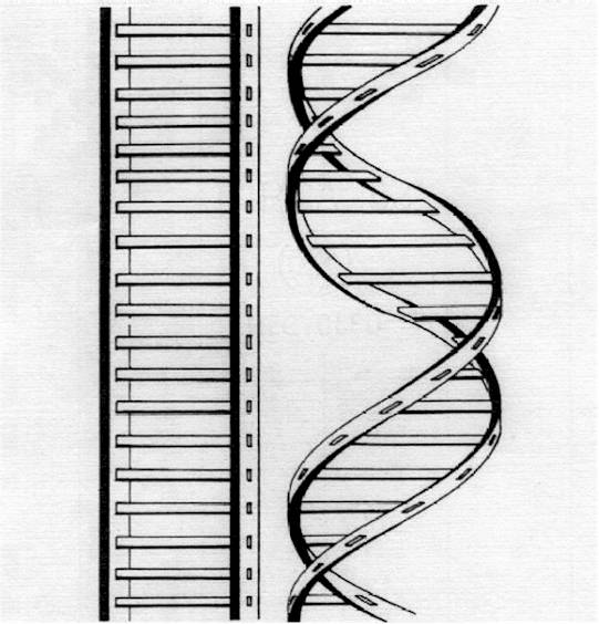 A Case for A Creator Study: DNA 101: Deciphering Biological Information
