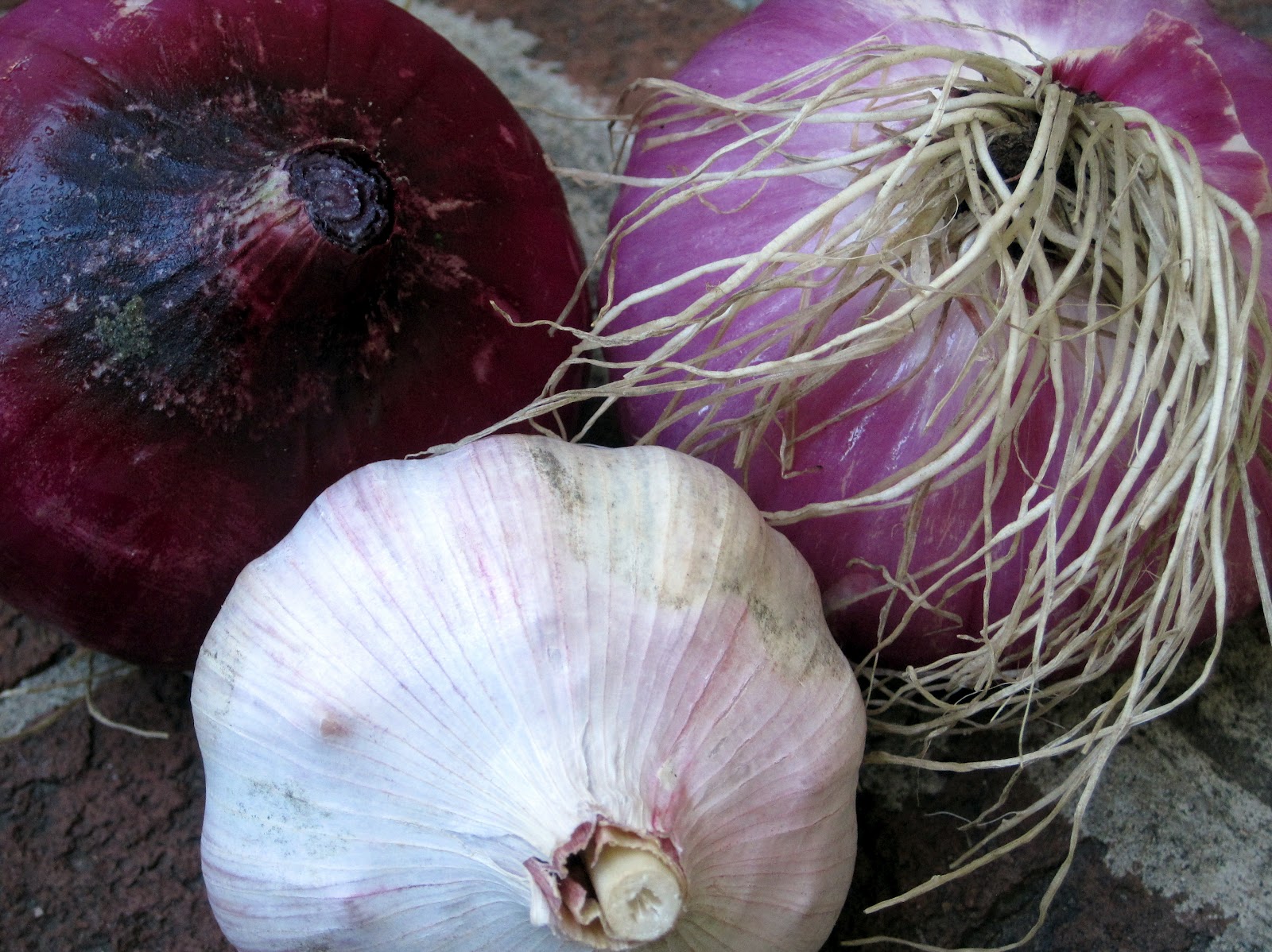 Eating My Words: On Dad and onions: A love story