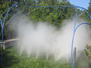 The Stir Crazy Moms' Guide to Durham: Into the Mist at the Museum of ...