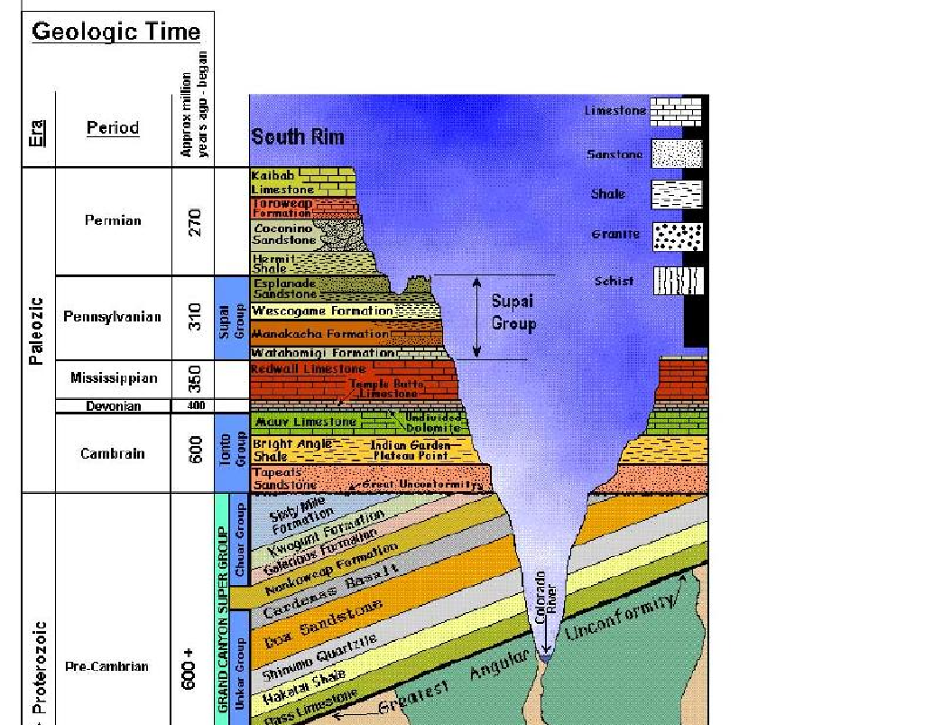 The Fantasy of Evolution: Strata, Time Periods, Polystrate Trees and ...