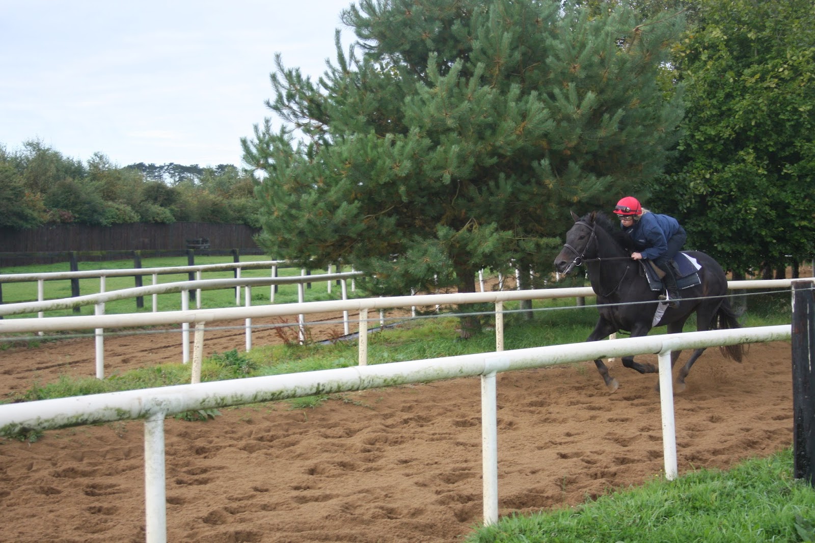 The Daily Life of a Trainee Jockey at RACE: Meet the trainees - Hayley ...