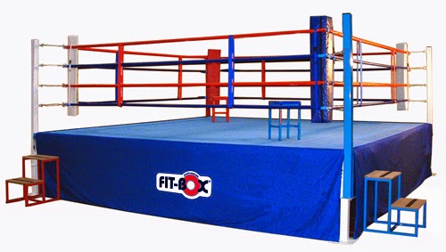 TODO SOBRE EL MUNDO DEL DEPORTE: BOXEO
