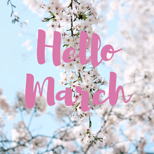 Bulan Mac Yang Sempurna 5000 Dalam Tangan! - Shida Radzuan Blog