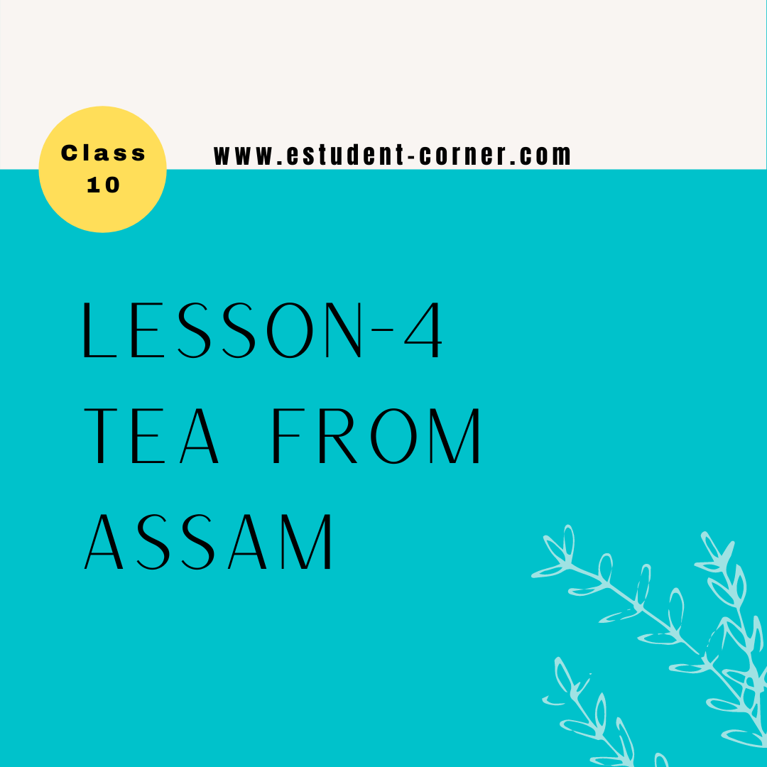 Lesson 4 Tea From Assam Questions And Answers NCERT English lesson-4-tea-from-assam-questions-and-answers-ncert-english