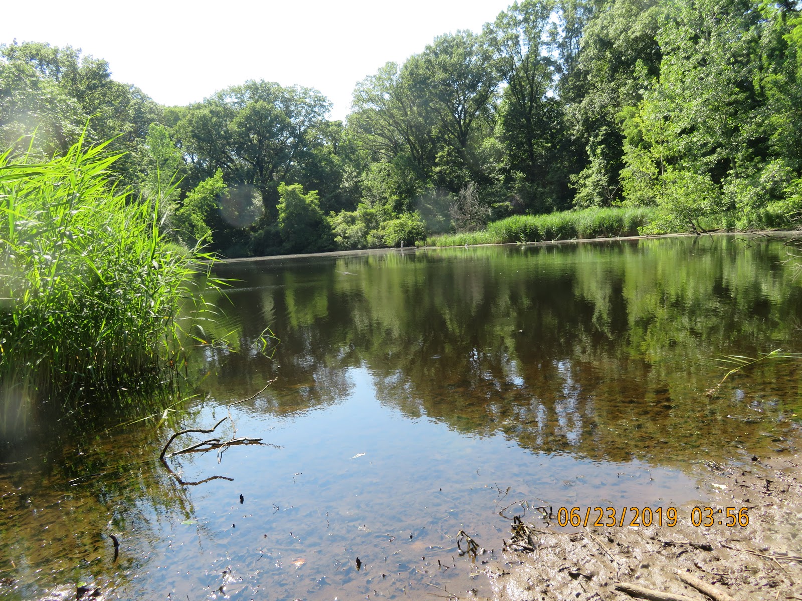 The Great Lakes of NYC: Fishing Strack Pond