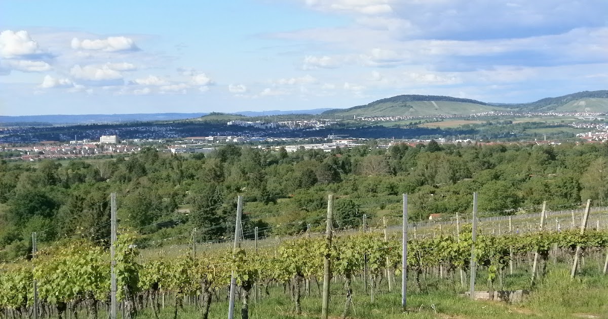 Wege in der Region Stuttgart: Aussicht vom Belvedere bei Fellbach