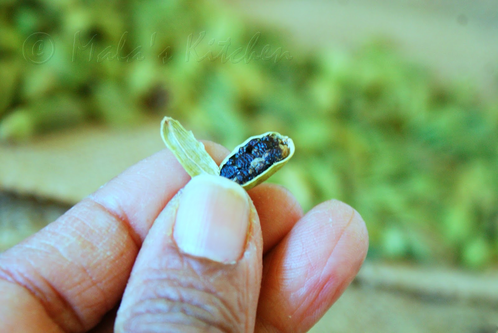 Cardamom Powder | Elakki Pudi | Eelarshi Pudi - Malas-Kitchen