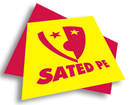 IVONETE MELO, PRESIDENTE DO SINDICATO DOS ARTISTAS NO ENFRETAMENTO DA ...