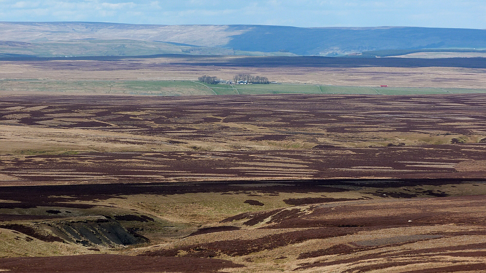 Cumbria Wildscapes: Stainmore Grouse moor