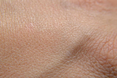 Lapisan Kulit, Apakah Kita Memiliki Kulit Yang Sama Sepanjang Hidup?