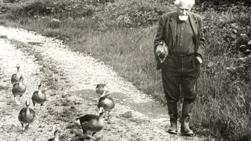 Mussuk Team (Canicross, bikejoring y Mushing): El periodo de impronta ...