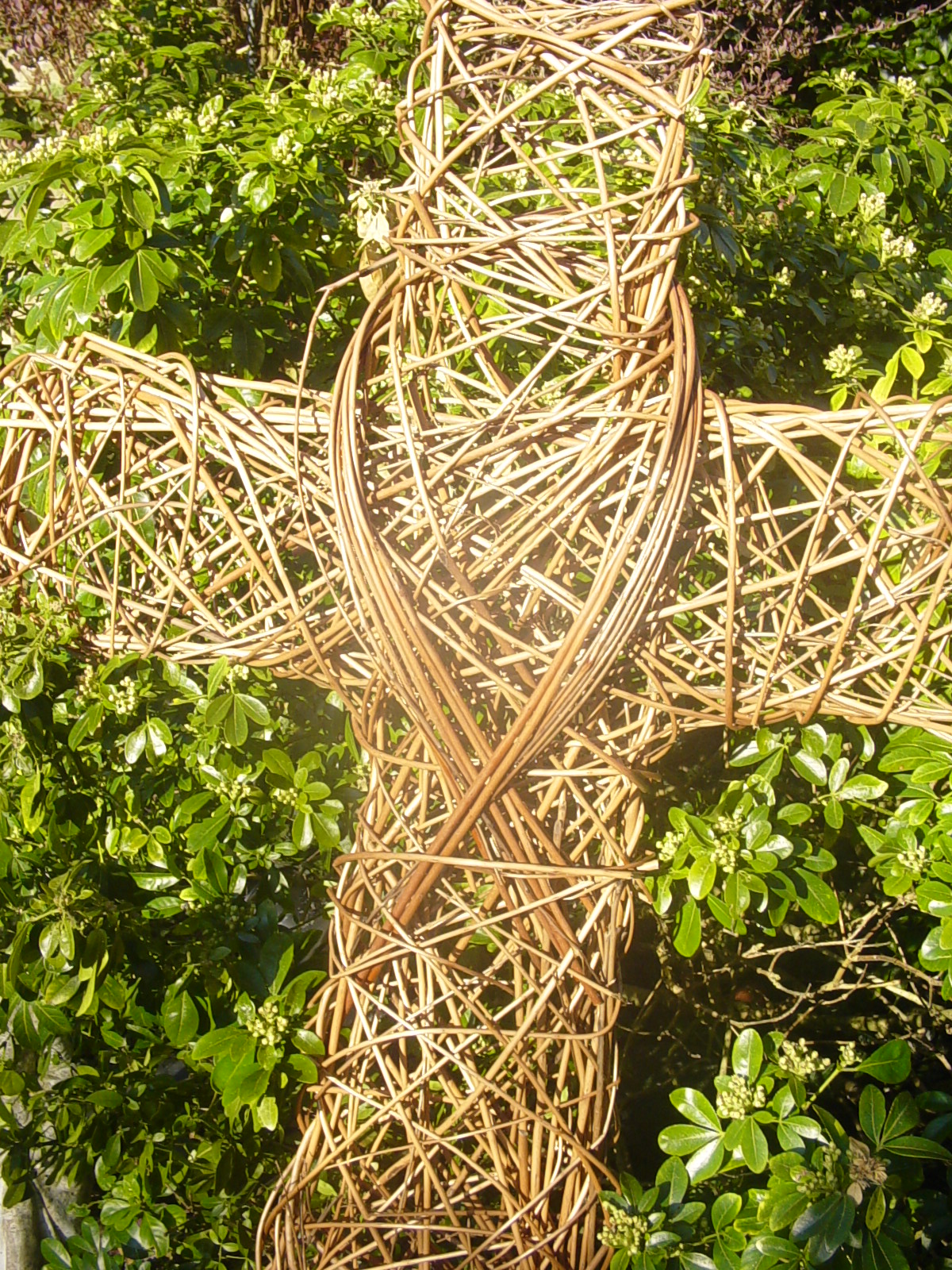 40 days of Crafts: Willow Weaving