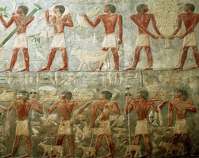 The Tomb of Akhethotep and Ptahhotep ~ Egypt Day Tour