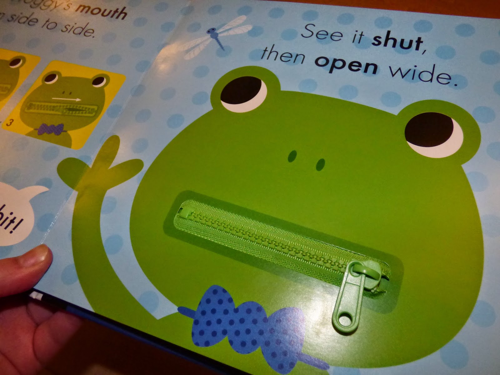 Jelly Rose: Zip It Children's Book REVIEW