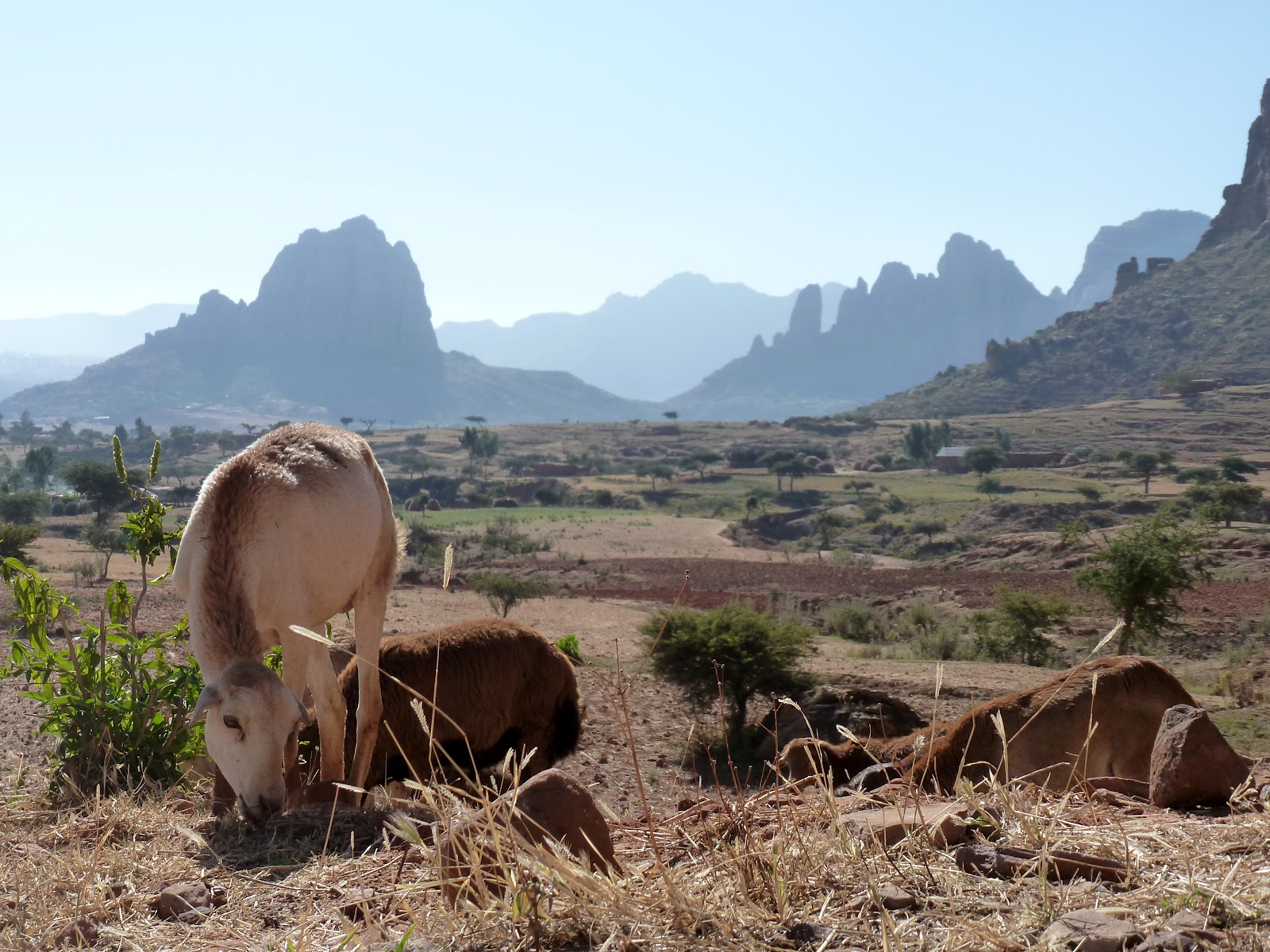 Travels Without Charlie: The mountains of Tigray
