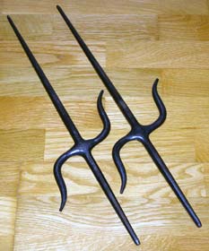 Isshin - Concentration the Art: Origin of the Manji Sai