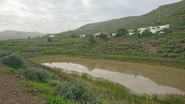 La Charca tiene agua