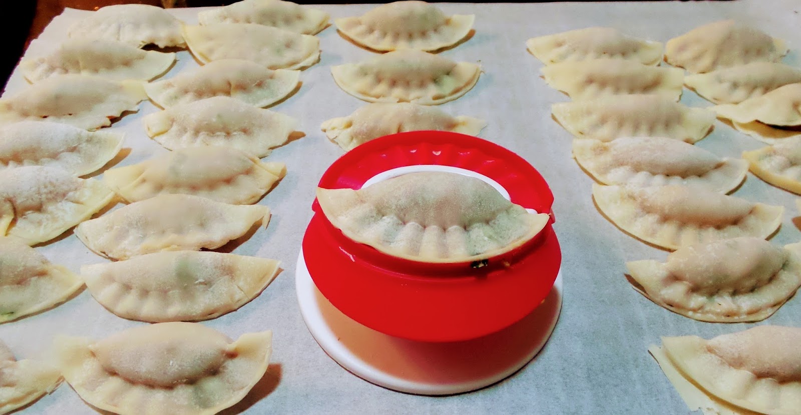 HAPPY RETIREE'S KITCHEN : How to make Japanese Gyoza Dumpling Delights ...