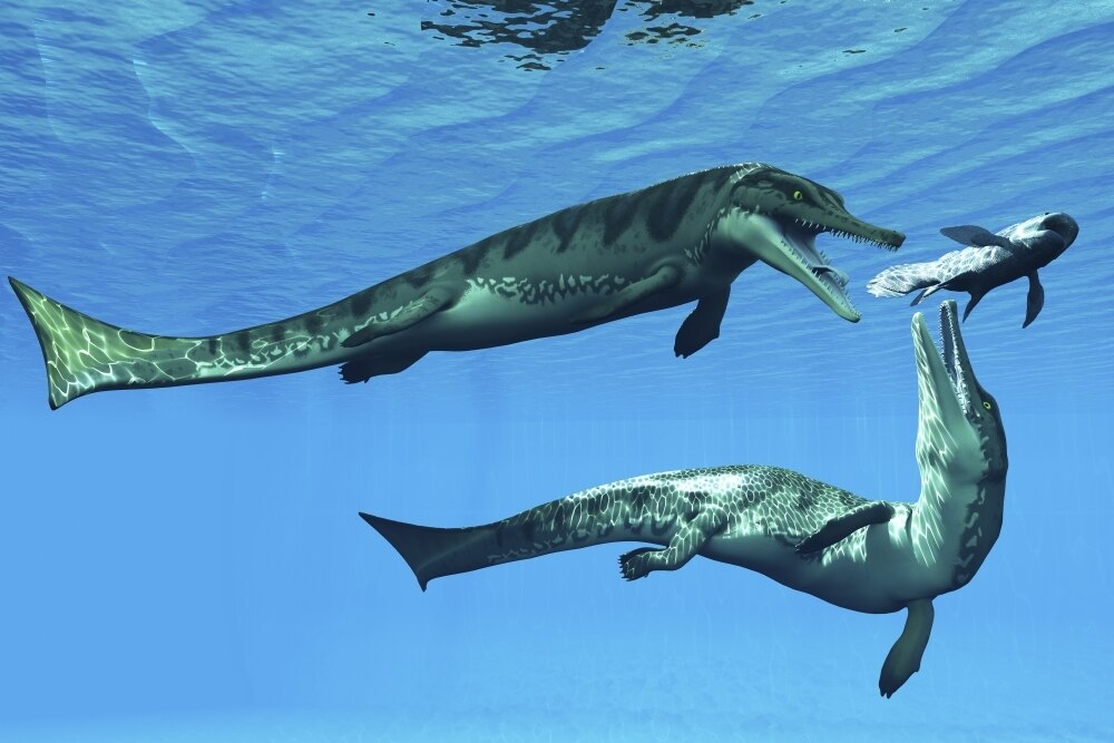 a mesozoic field guide: The Jurassic Period