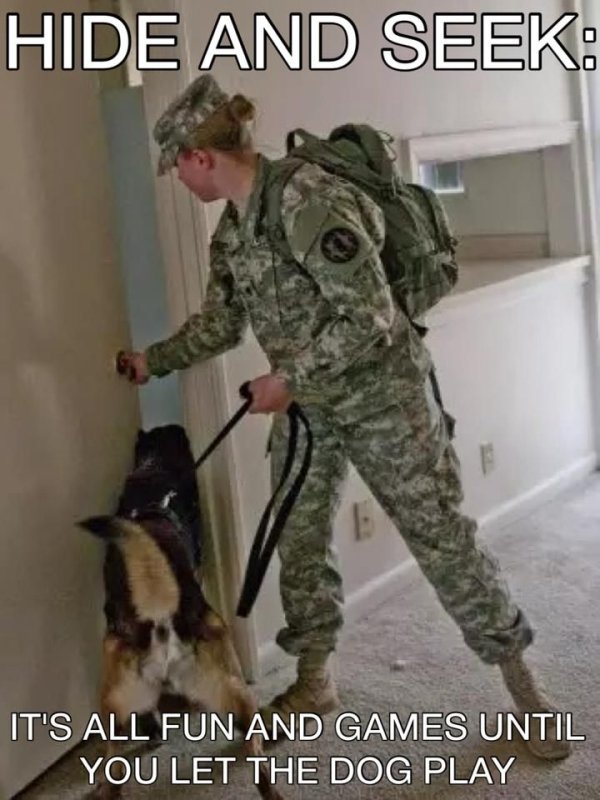 Service dog memes always bring out the smiles (40 Pics ...