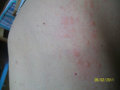 No Bread Crumbs: Mango...I have a bone to pick with you!