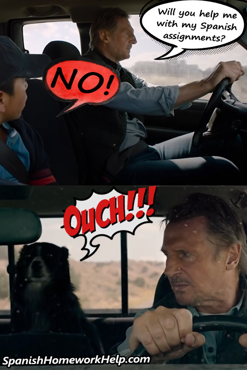 Memes | Spanish Homework Help