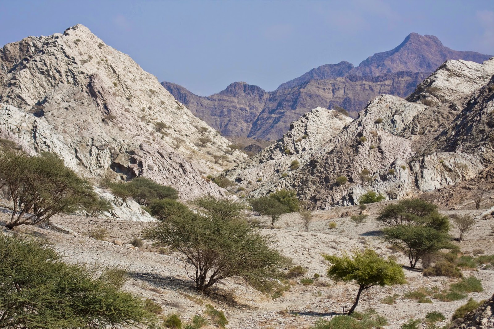 Tomtskådning vid Lommabukten: 31/10-14 Masafi Wadi