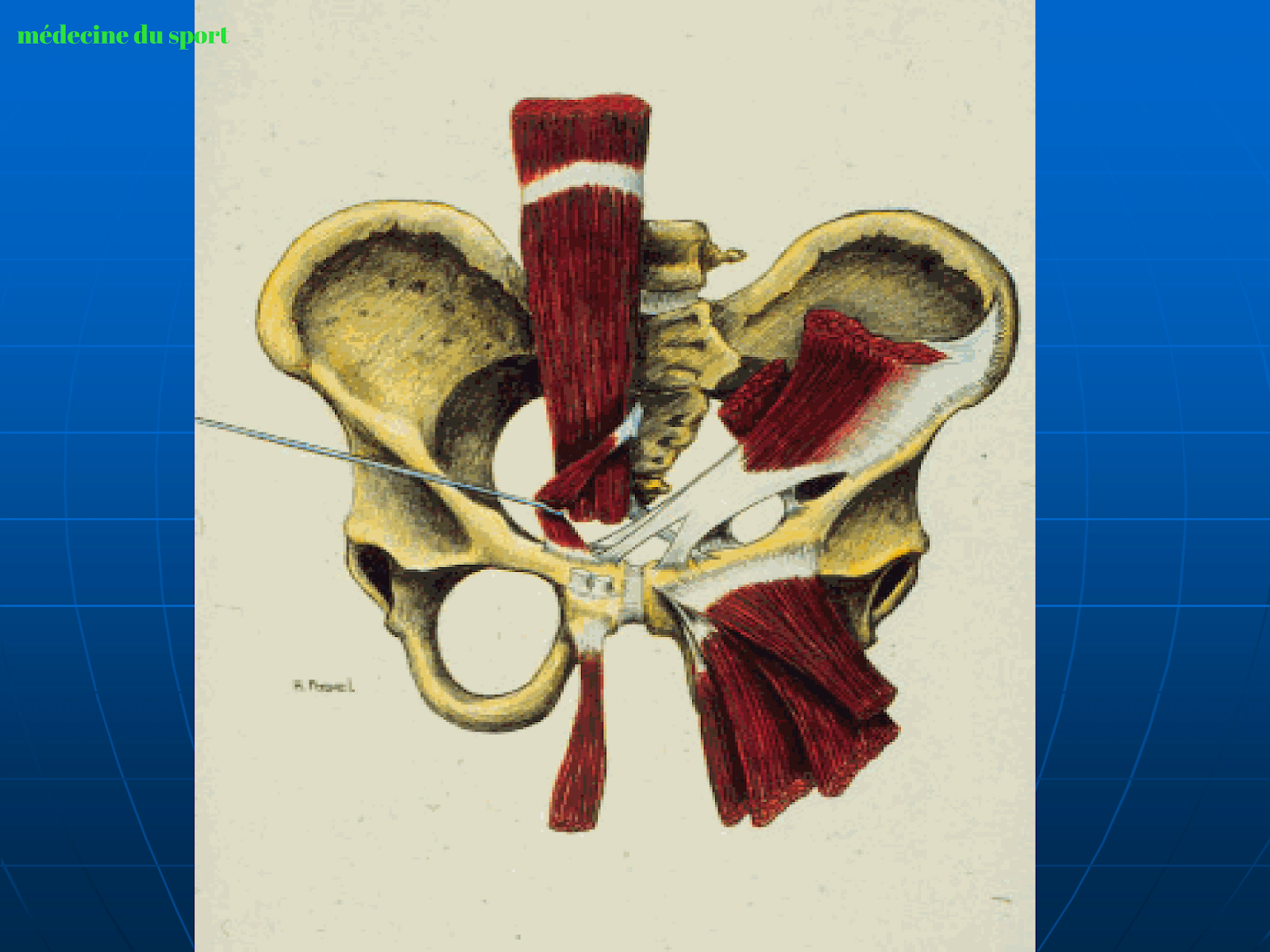 La pubalgie du sportif Traitement et rééducation